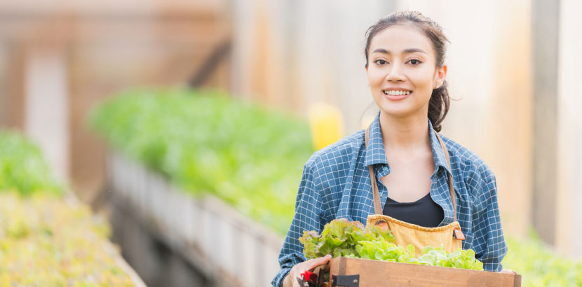 MYOB: Business software you'll never outgrow